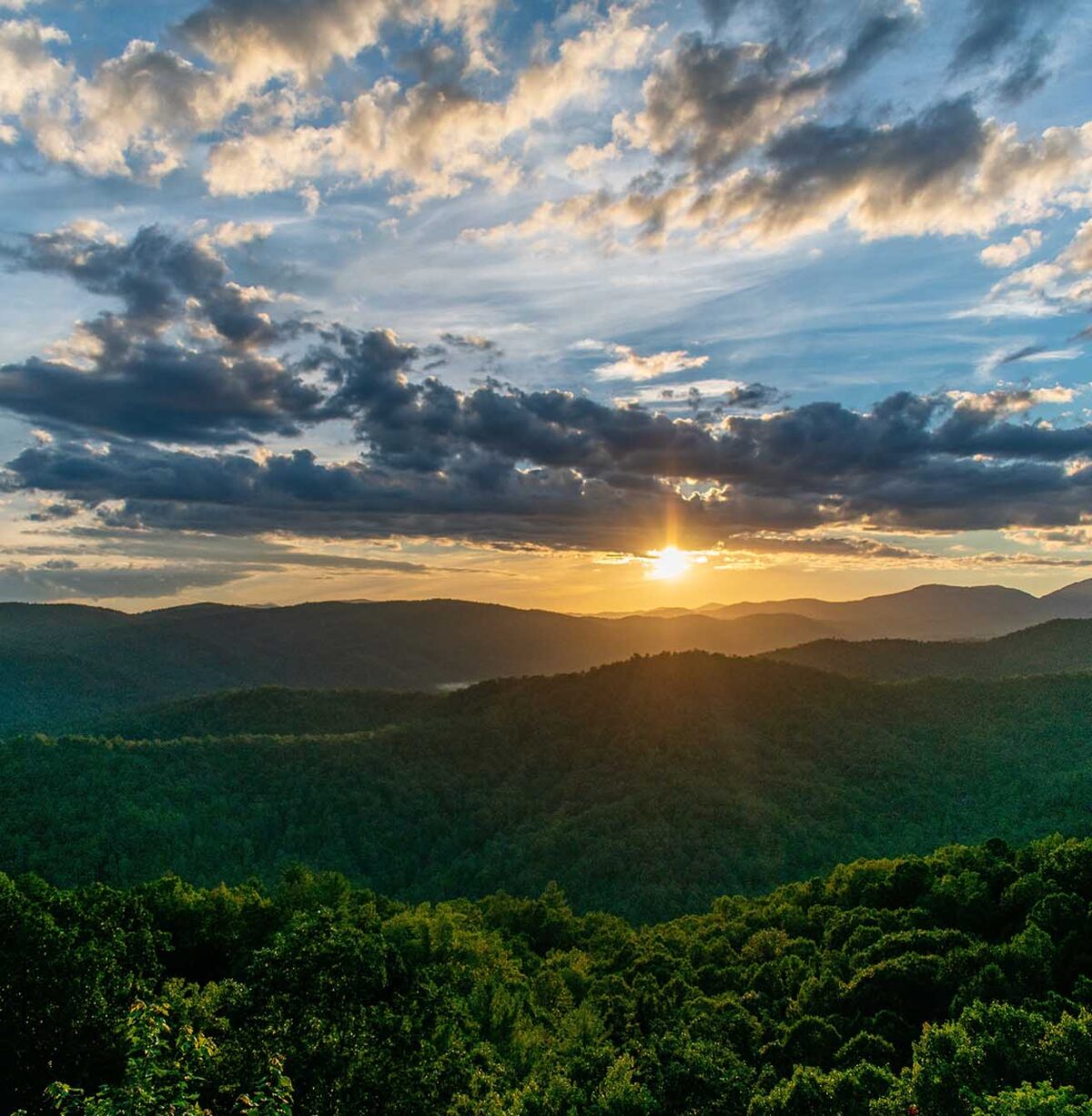 InStill Mindfulness - Mindfulness for Southwest VA and beyond